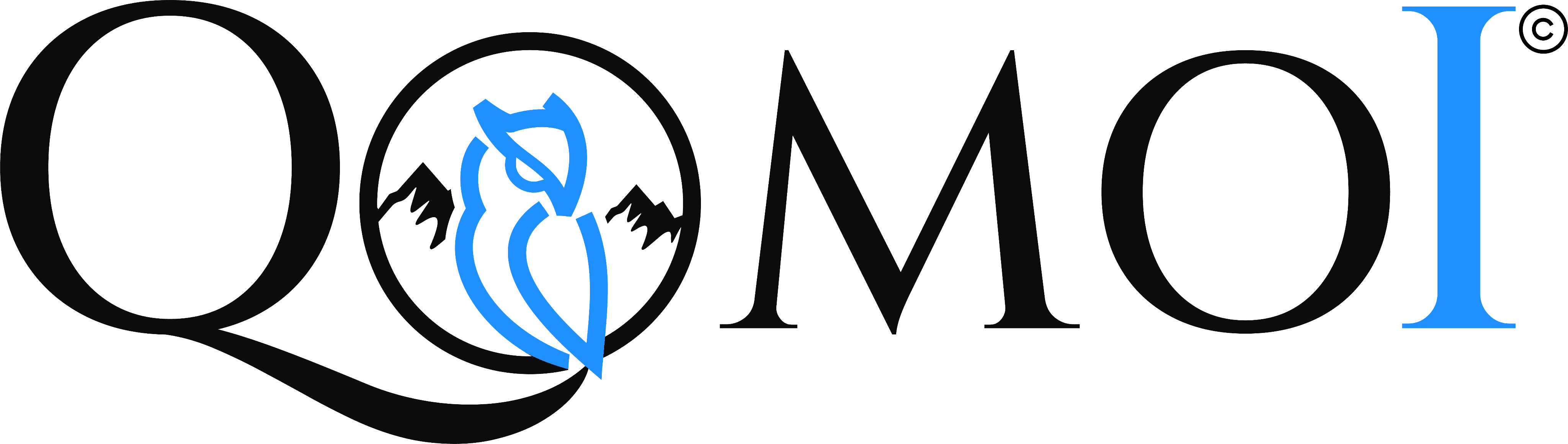 Qomo Institute | Executive Education and Professional Development